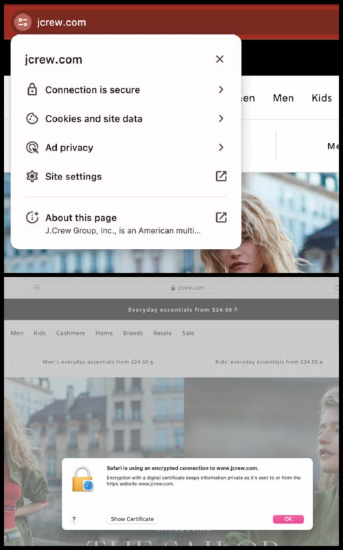 How To Know If That Shopping Website Is Fake: A Clear And Easy Solution ...