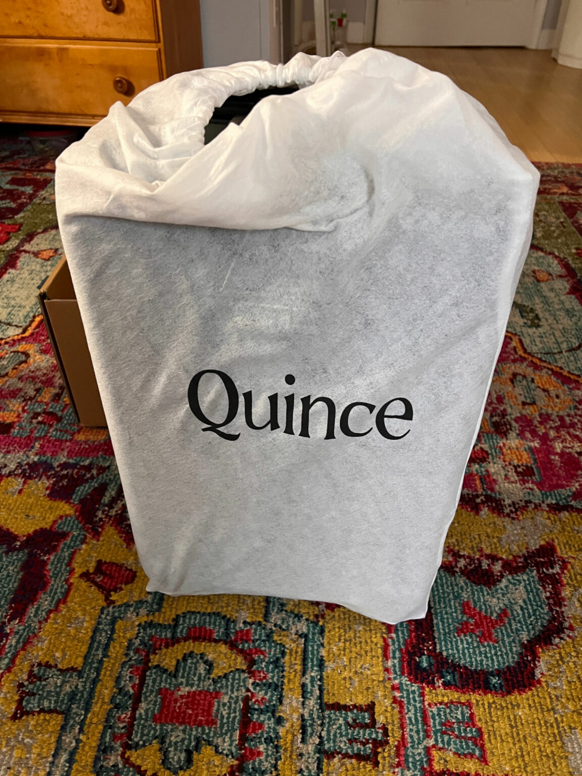 I Tried Quince Luggage | Honest Quince Suitcase Review